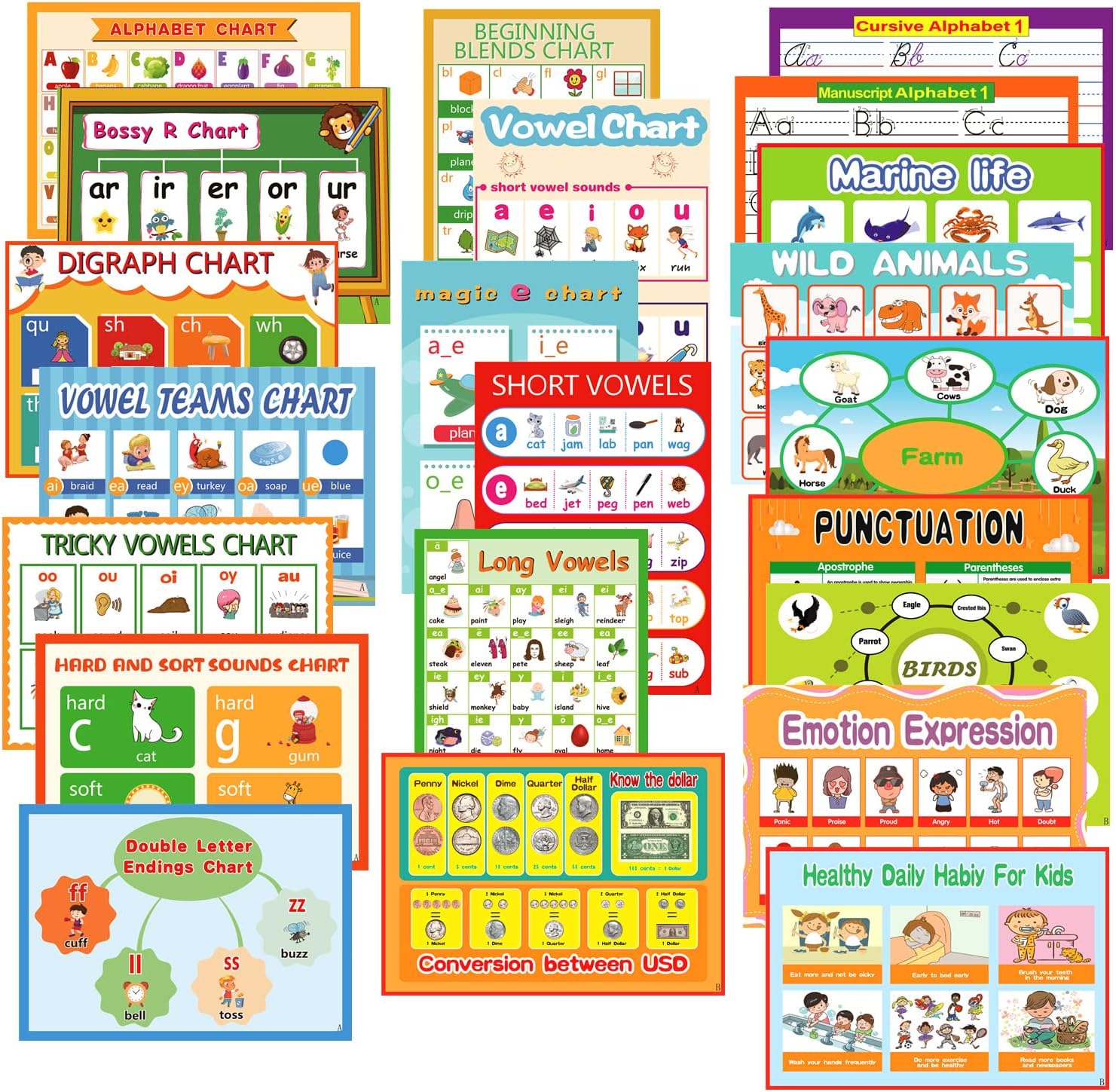 Wonder Tots Educational Human Body Poster - Learning Poster for ...