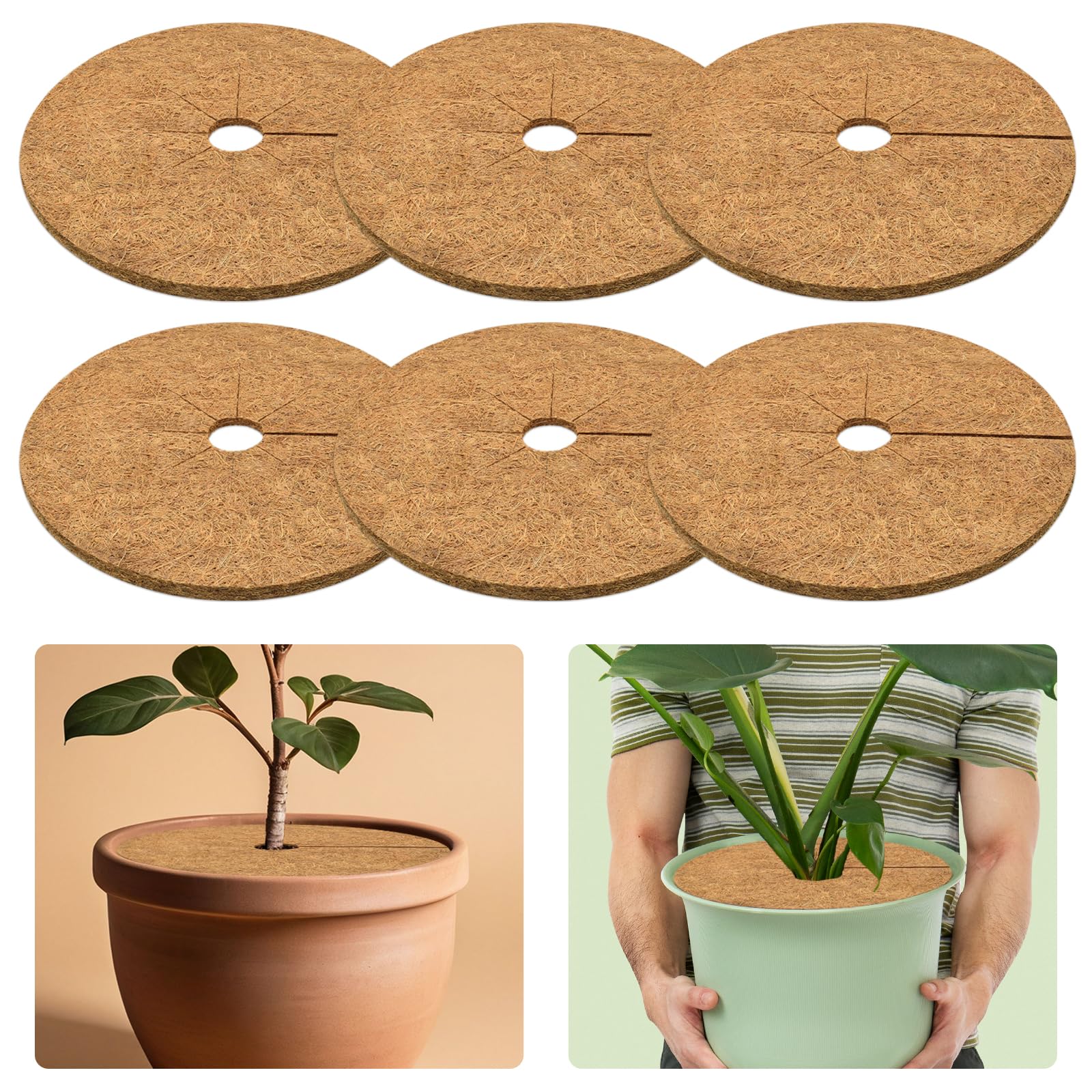 Amazon.com : ZeeDix 6 Pcs Coconut Fibers Mulch Ring Tree Protector Mat ...