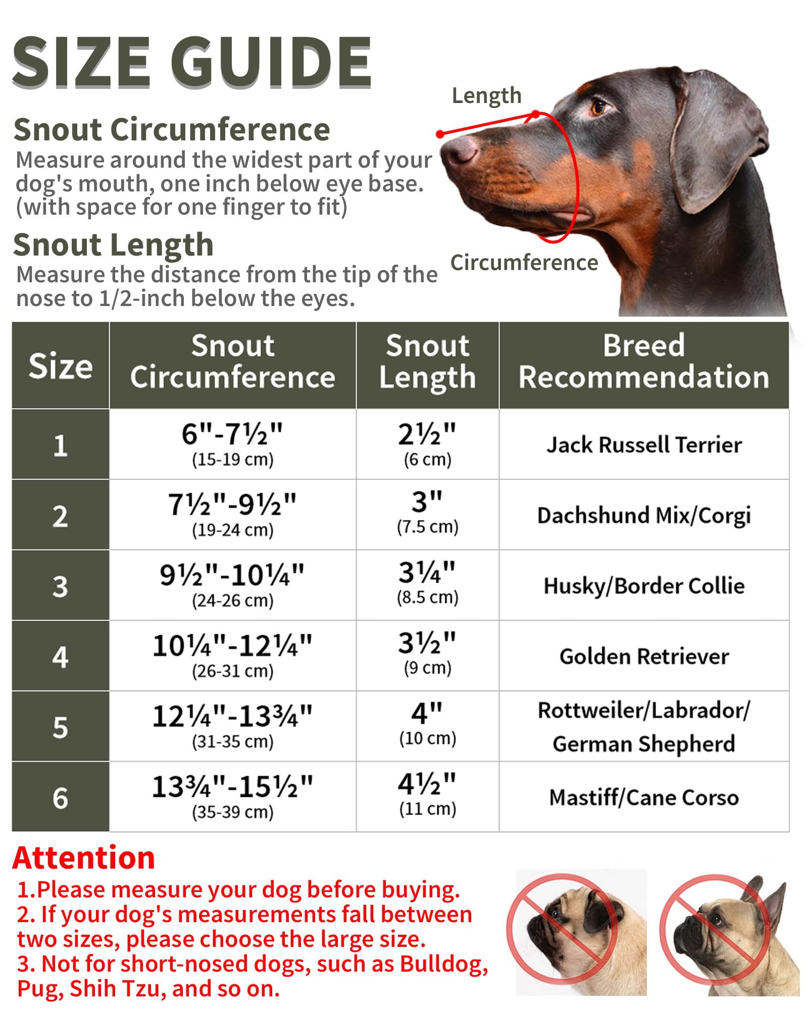 Rottweiler Puppy Growth Chart 11 Week Old Rottweiler Puppy