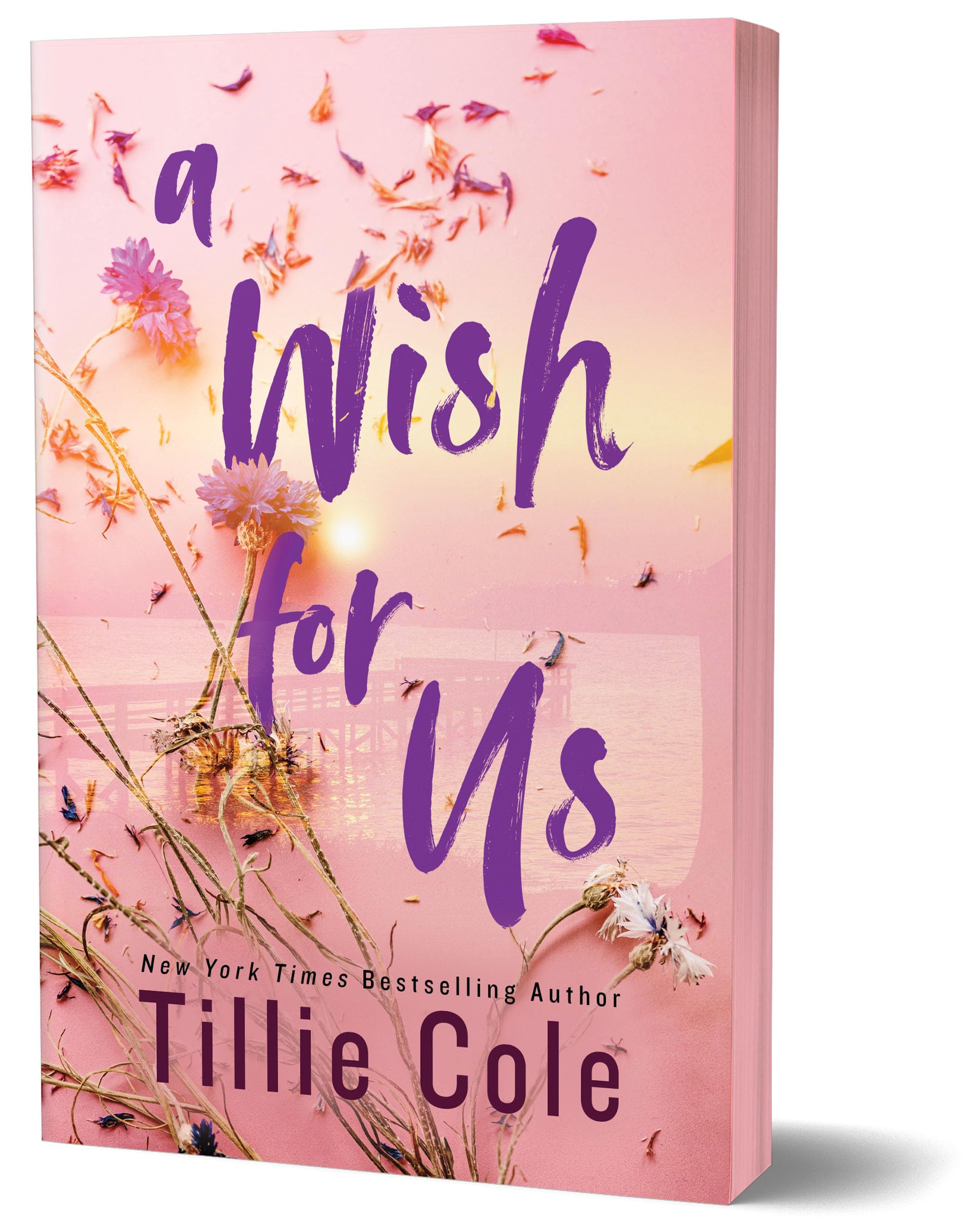 Amazon.com: A Wish for Us (Deluxe Edition): 9781464224324: Cole, Tillie ...