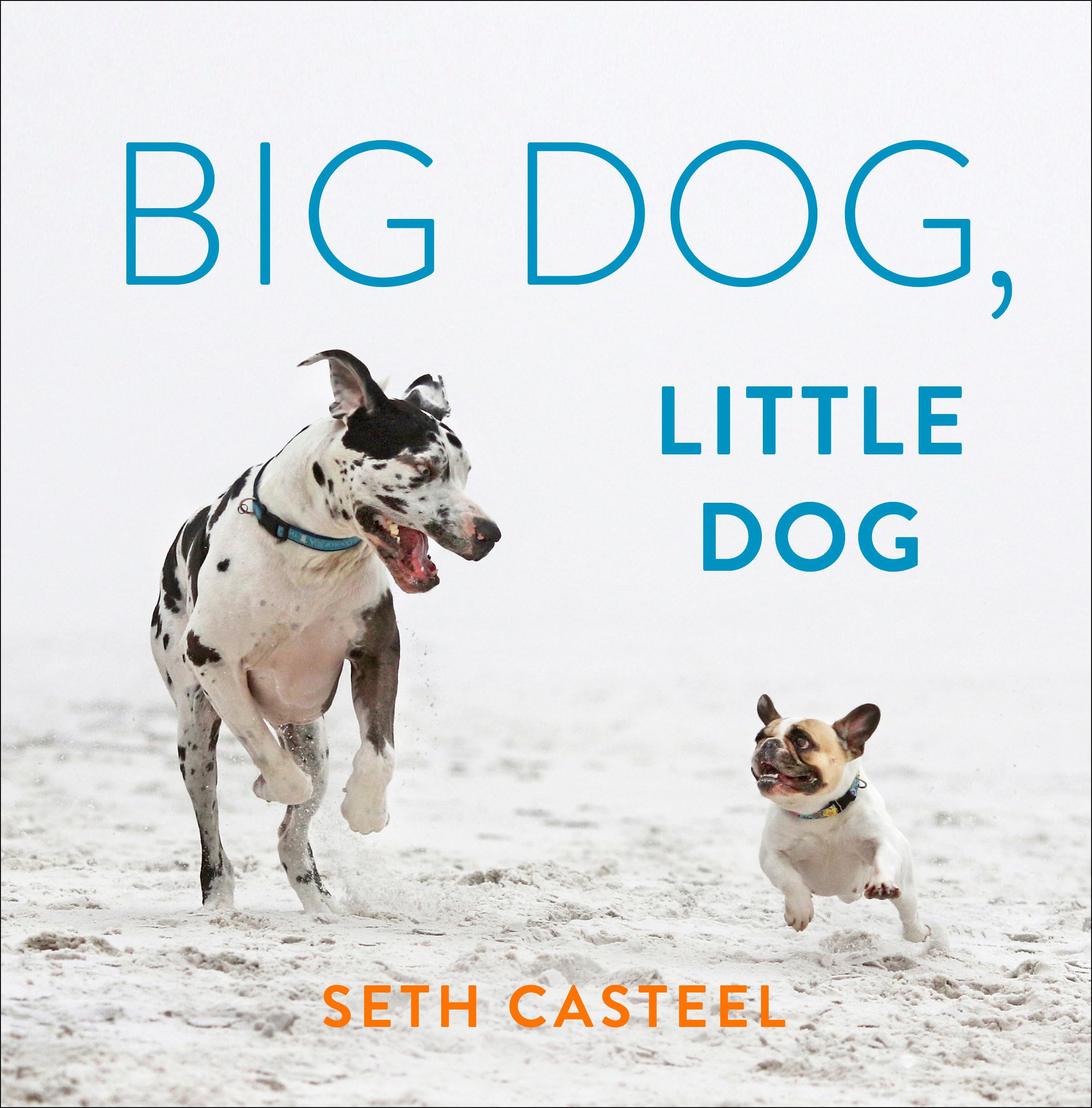 Amazon.com: Big Dog, Little Dog: 9780593183663: Casteel, Seth: Books