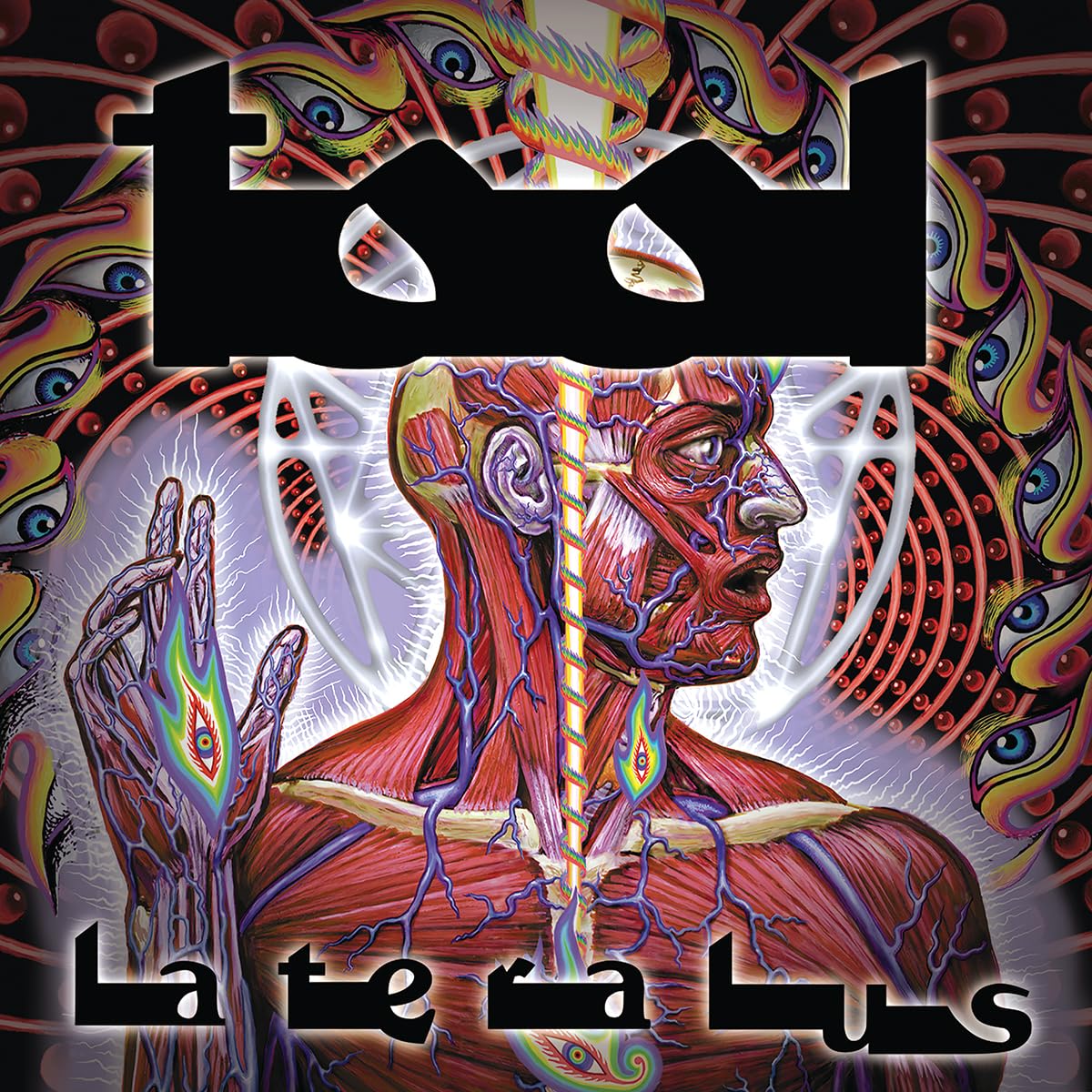 Lateralus Poster