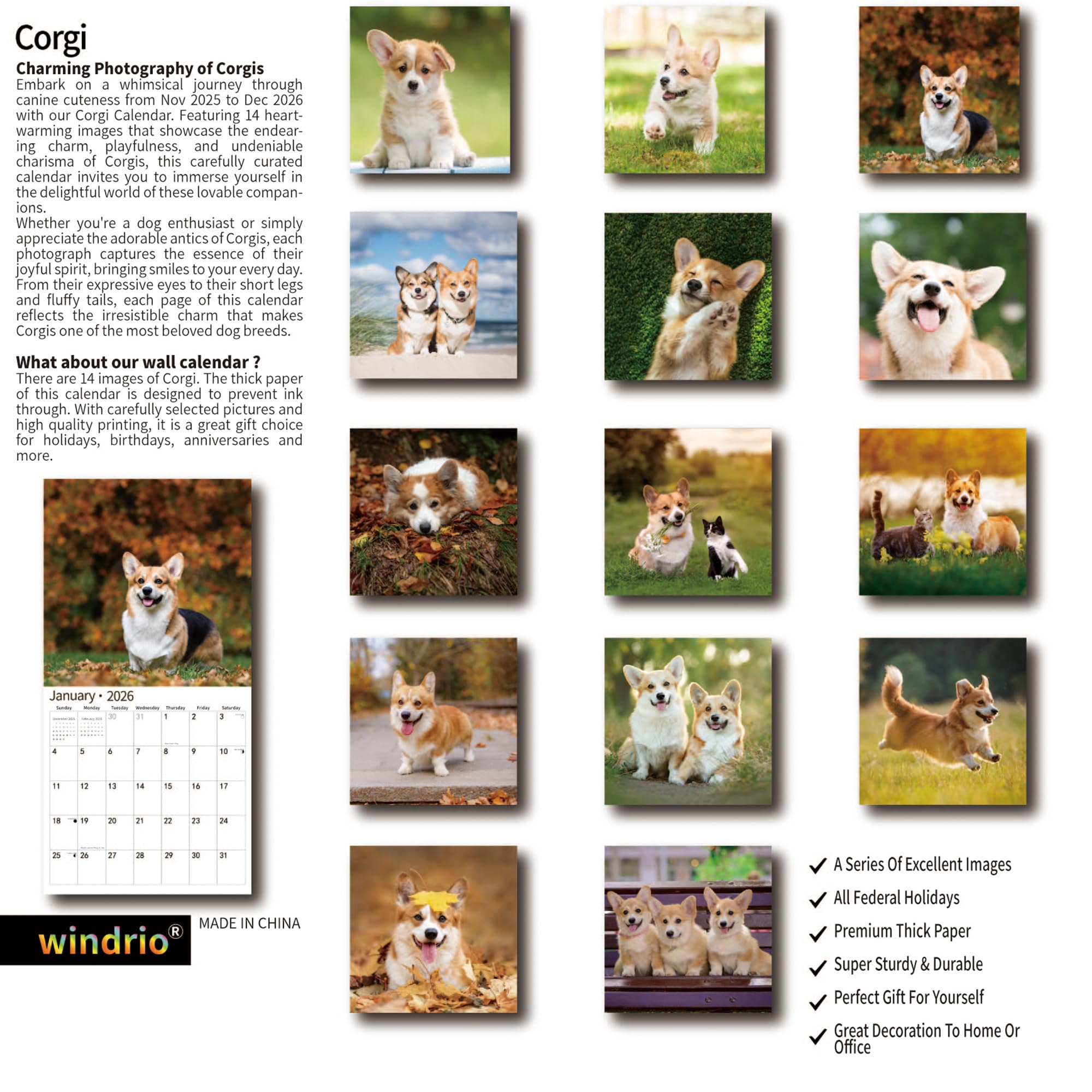 Snapklik.com : 2026 Wall Calendar, November 2025 - December 2026, Wall ...