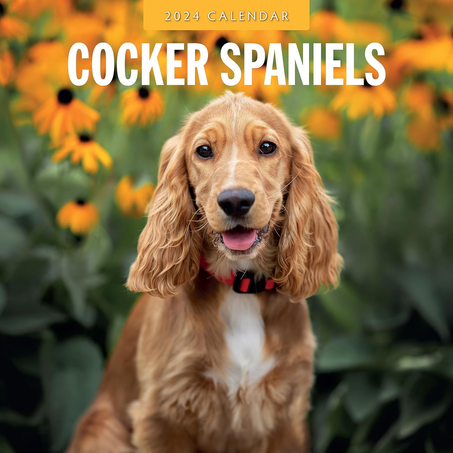 Cocker Spaniels - 2024 Square Wall Calendar - by Red Robin Publishing ...