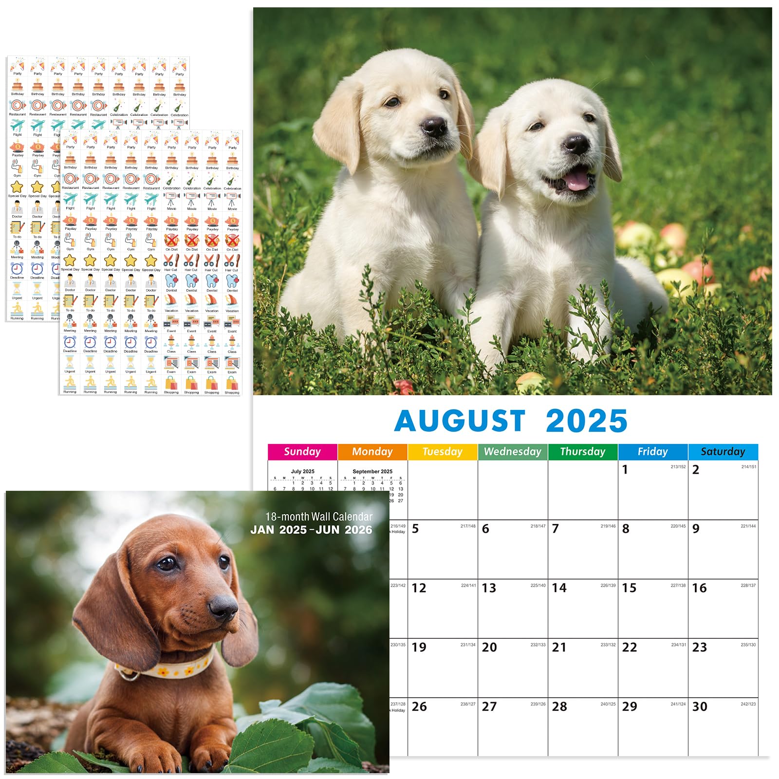 Calendar 2025-2026, Funny Dog Puppies A4 Wall Calendar 2025 UK, 18 ...