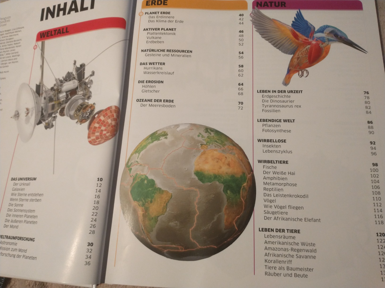 DK Wissen: Das große Lexikon in spektakulären Bildern. Für Kinder ab 8 ...