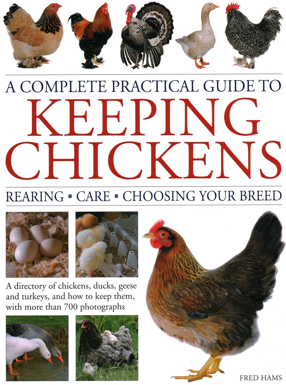 Amazon | A Complete Practical Guide to Keeping Chickens: Rearing Care ...