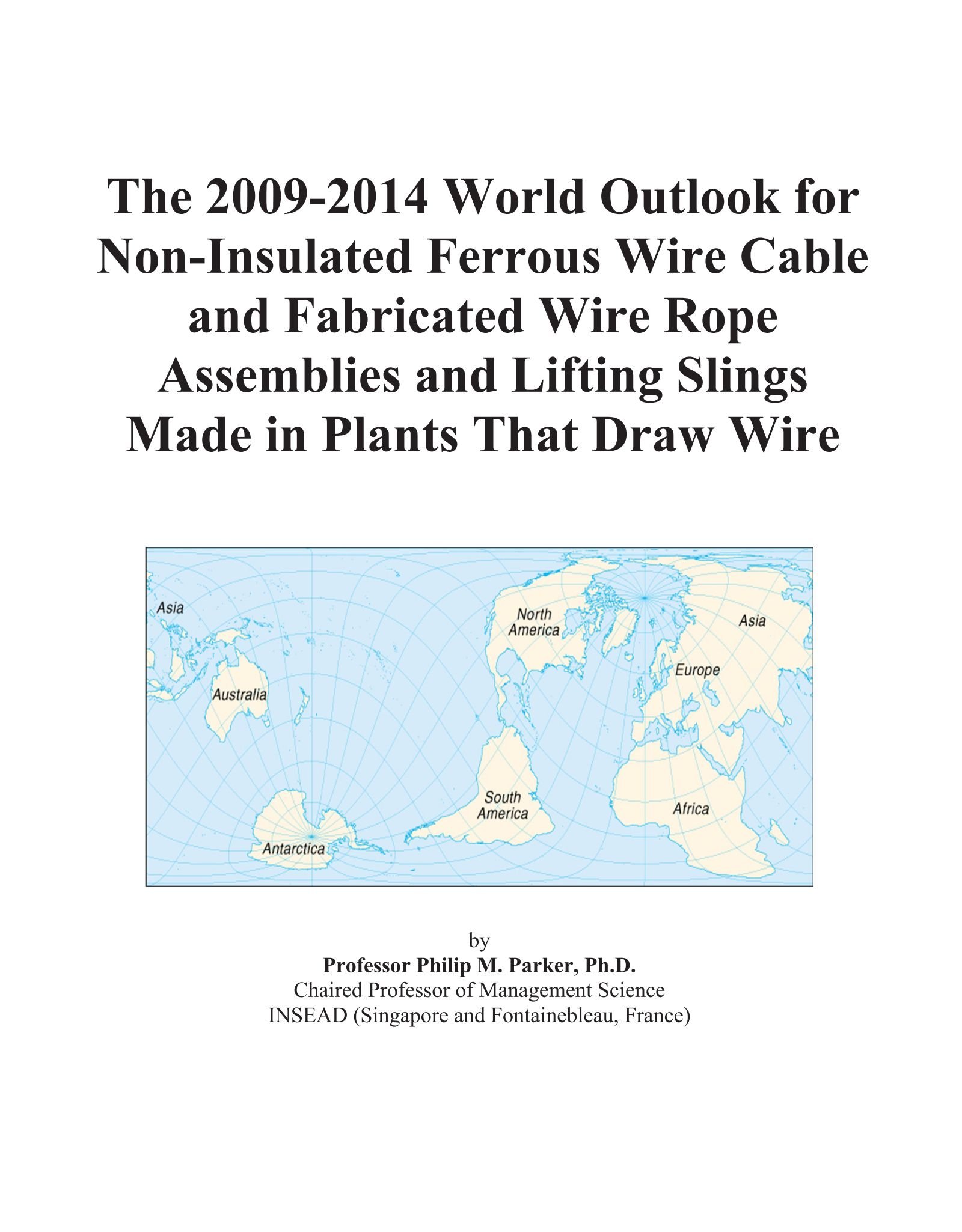 Buy The 2009-2014 World Outlook for Non-Insulated Ferrous Wire Cable ...