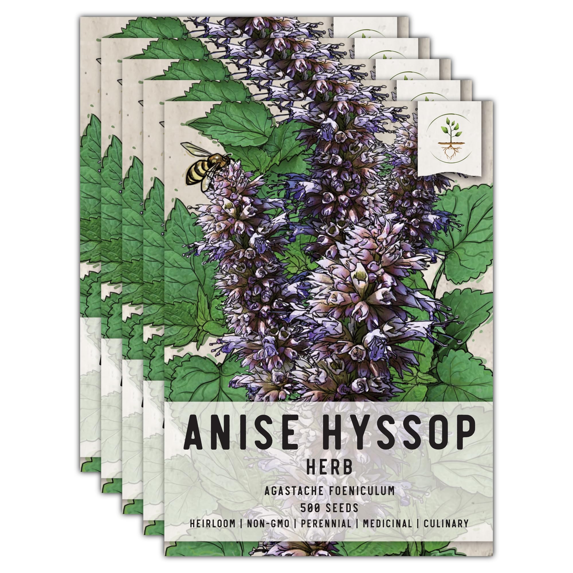 Amazon.com : Seed Needs Anise Hyssop Seeds for Planting - Non-GMO ...
