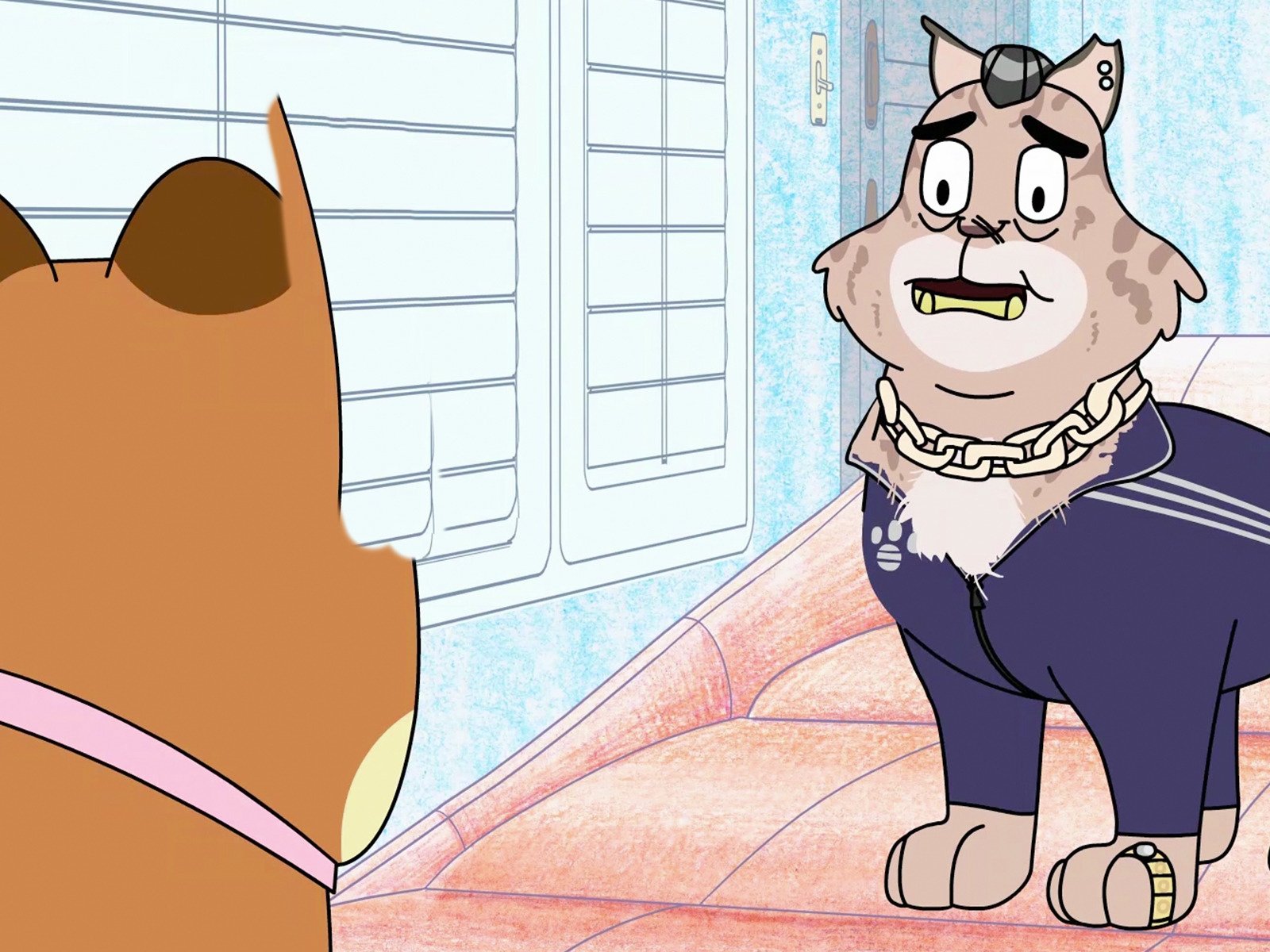 Amazon.com: Watch Fifi: Cat Therapist | Prime Video