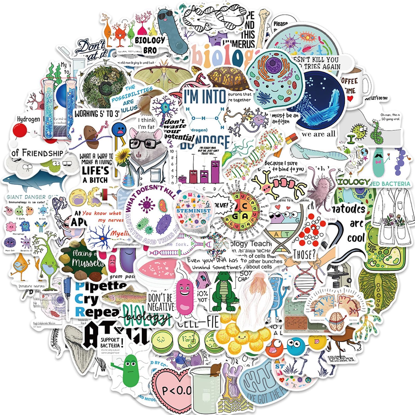 Amazon.com: 50 PCS Math Stickers,Funny Mathematics Stickers for ...