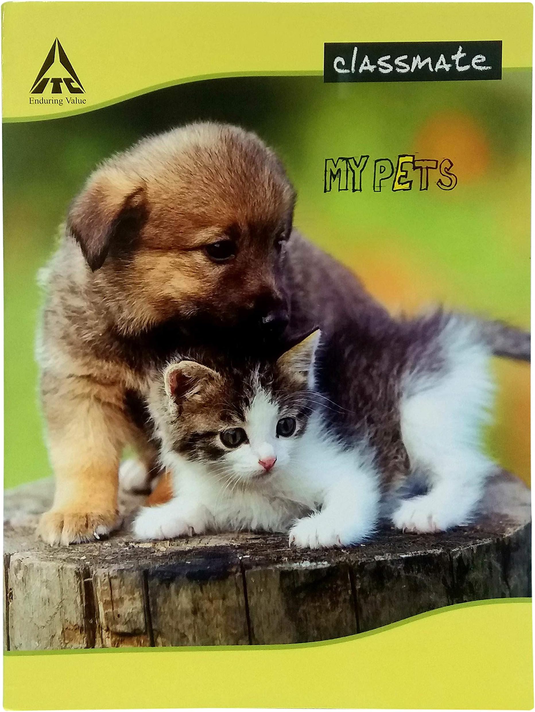 Classmate Notebook - Square 0.5 Inch (172 Pages) : Amazon.in: Office ...