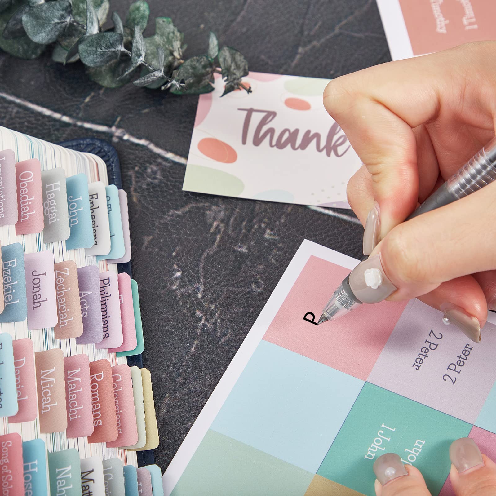 Snapklik.com : Cream Pastel Bible Tabs, Laminated Bible Tabs For Women ...