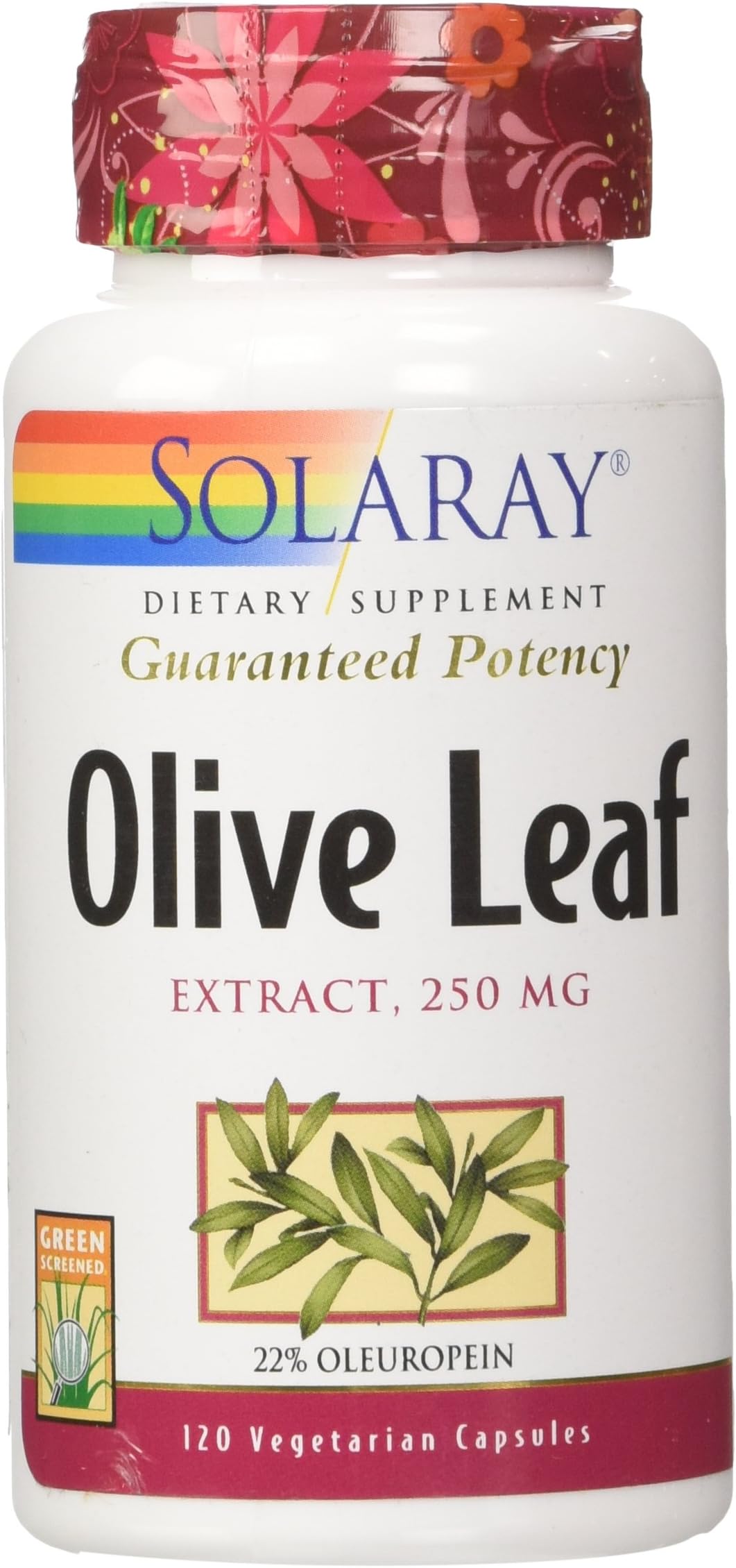 Amazon.com: Solaray Olive Leaf Extract 22% Supplement, 250 mg | 120 ...