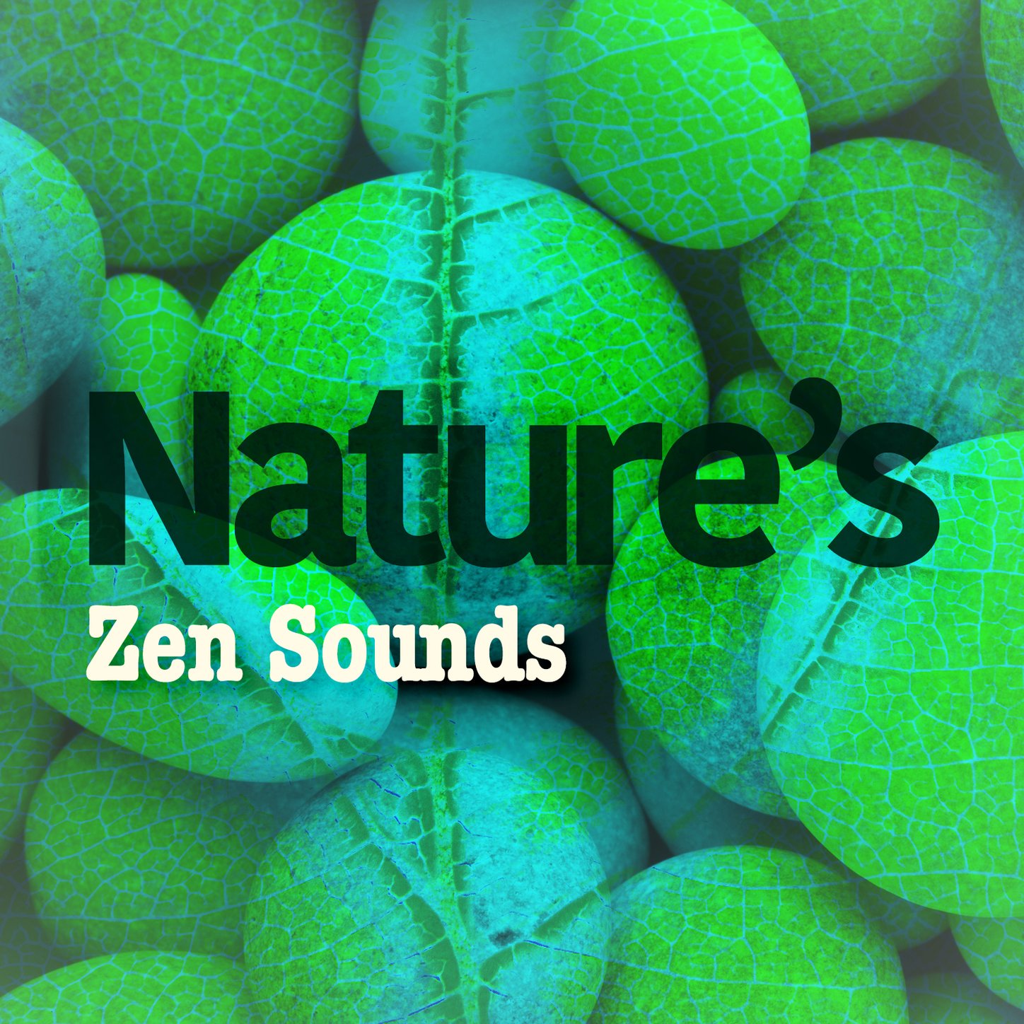 Singing Bird Music song by Bird Sounds, Bird Sounds 2016 & Nature Bird ...