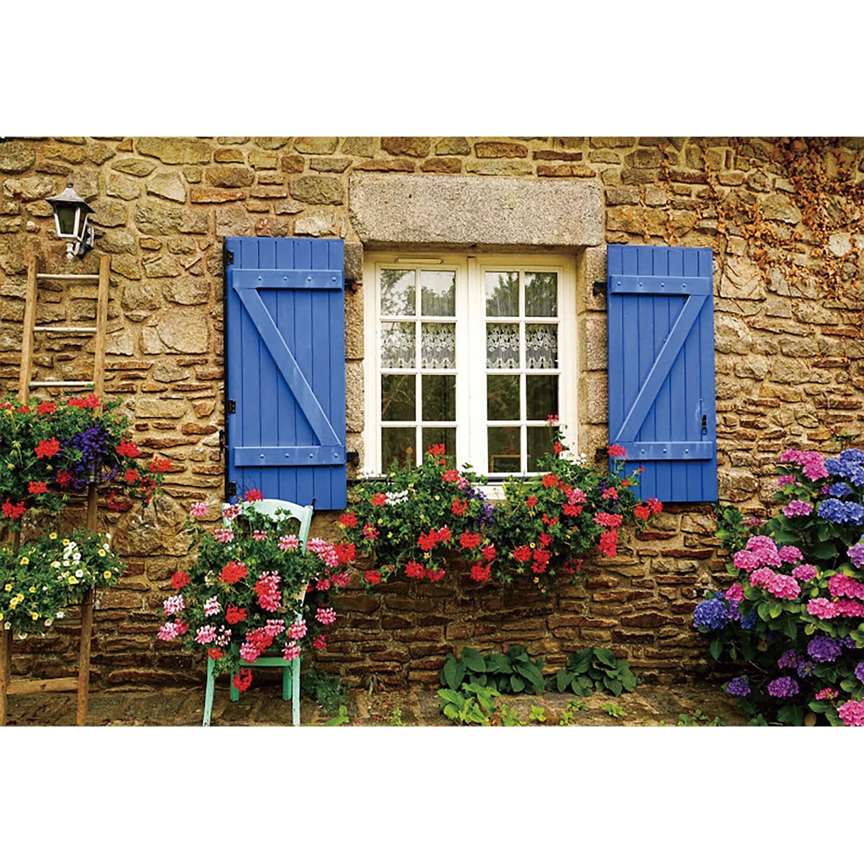 Amazon.com : 7x5ft Italian Pastoral Town Backdrops Flowers Window ...