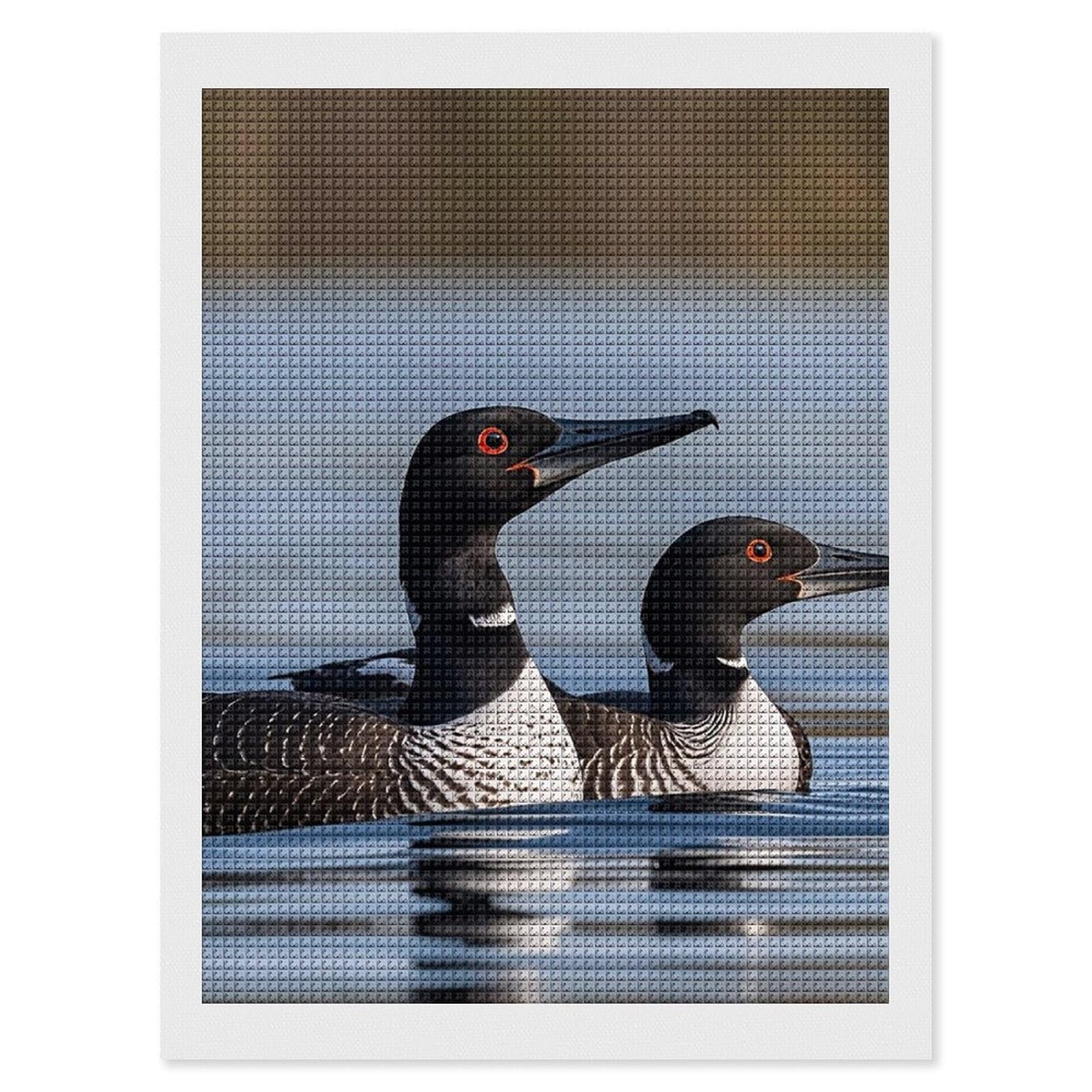 Amazon.com: LHDGSJE Loon Birds Diamond Painting 12"x16" DIY Diamonds ...