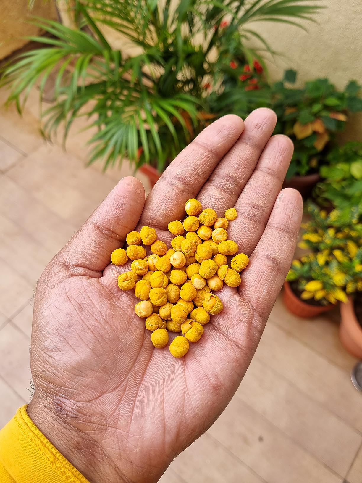 Testle Foods - Roasted Yellow Peas(Matar) | Pattani | Batani | soft ...