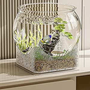Amazon.com : Clear Fish Bowl Desktop Aquarium for Betta Fish Turtle Round Bowl Clear Aquarium ...