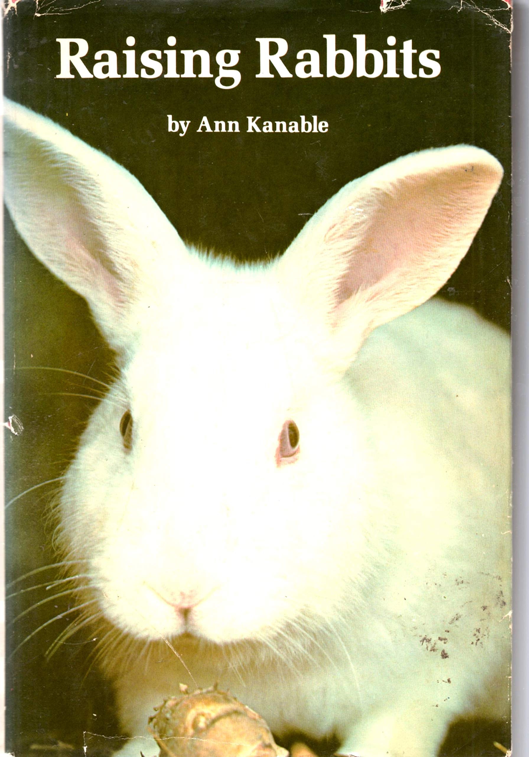 Raising rabbits: Kanable, Ann: 9780878571833: Amazon.com: Books