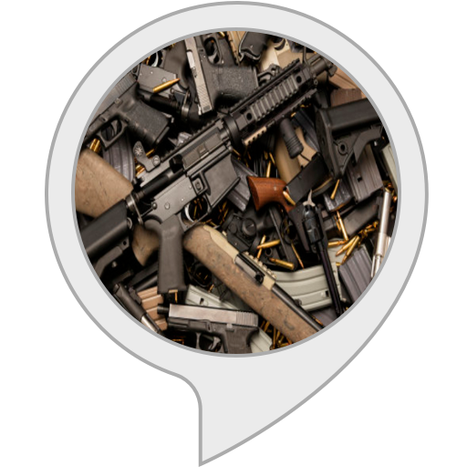Amazon.in: Fun Facts About Guns : Alexa Skills