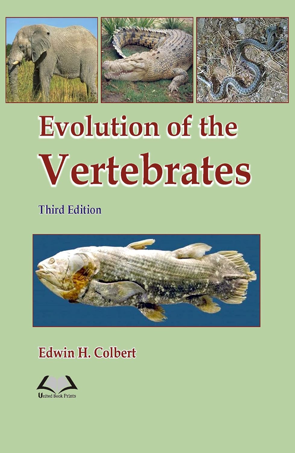 Amazon.in: Buy Evolution of the Vertebrates 3rd Ed Book Online at Low ...