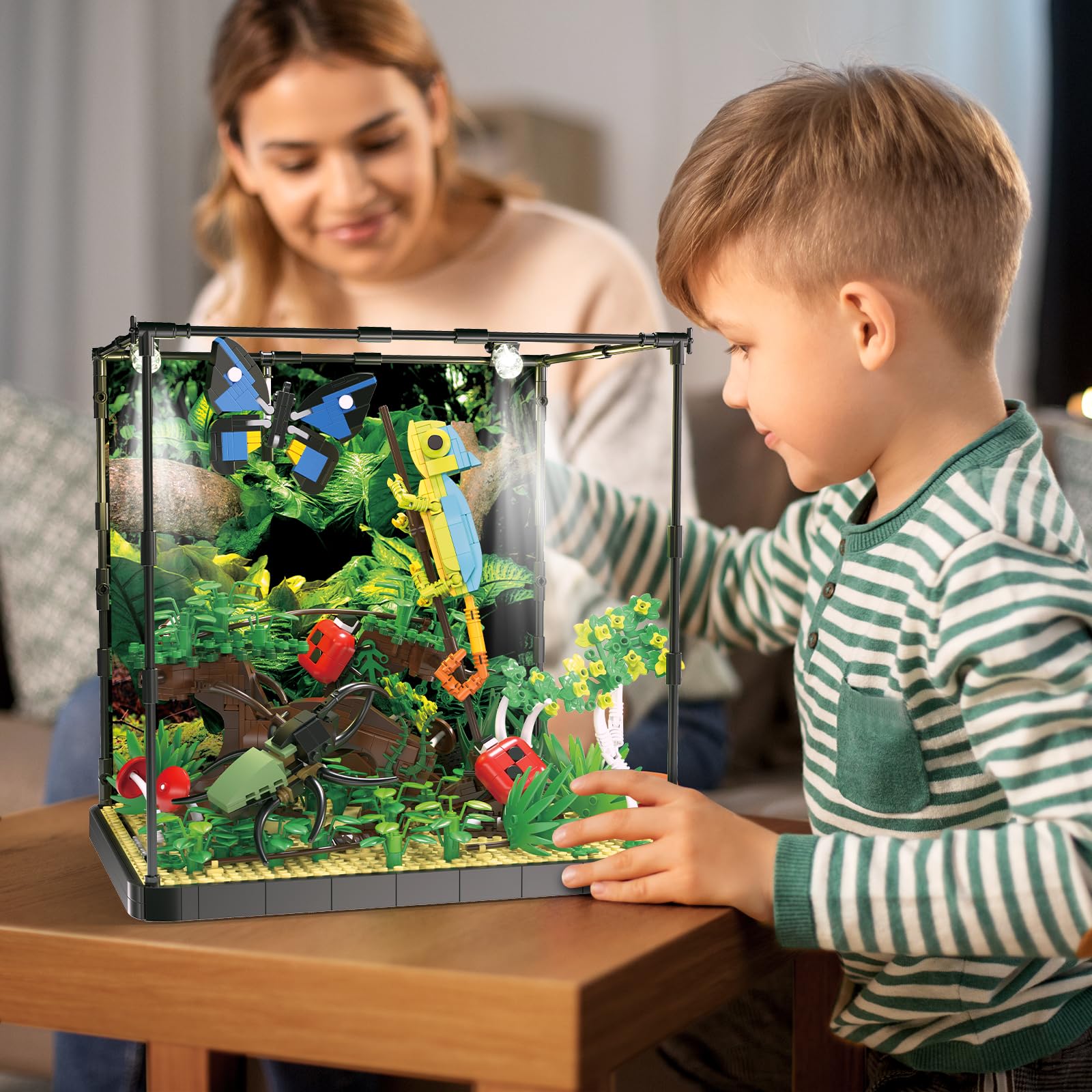 Tropical Rainforest Biome Project