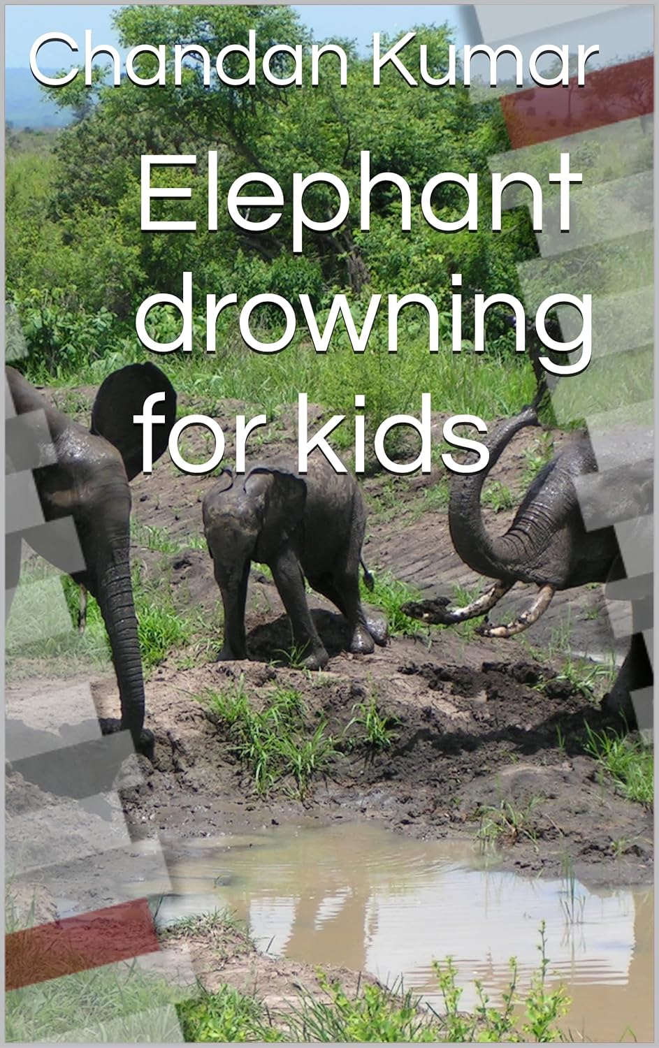 Elephant drowning for kids eBook : Kumar , Chandan : Amazon.in: Kindle ...