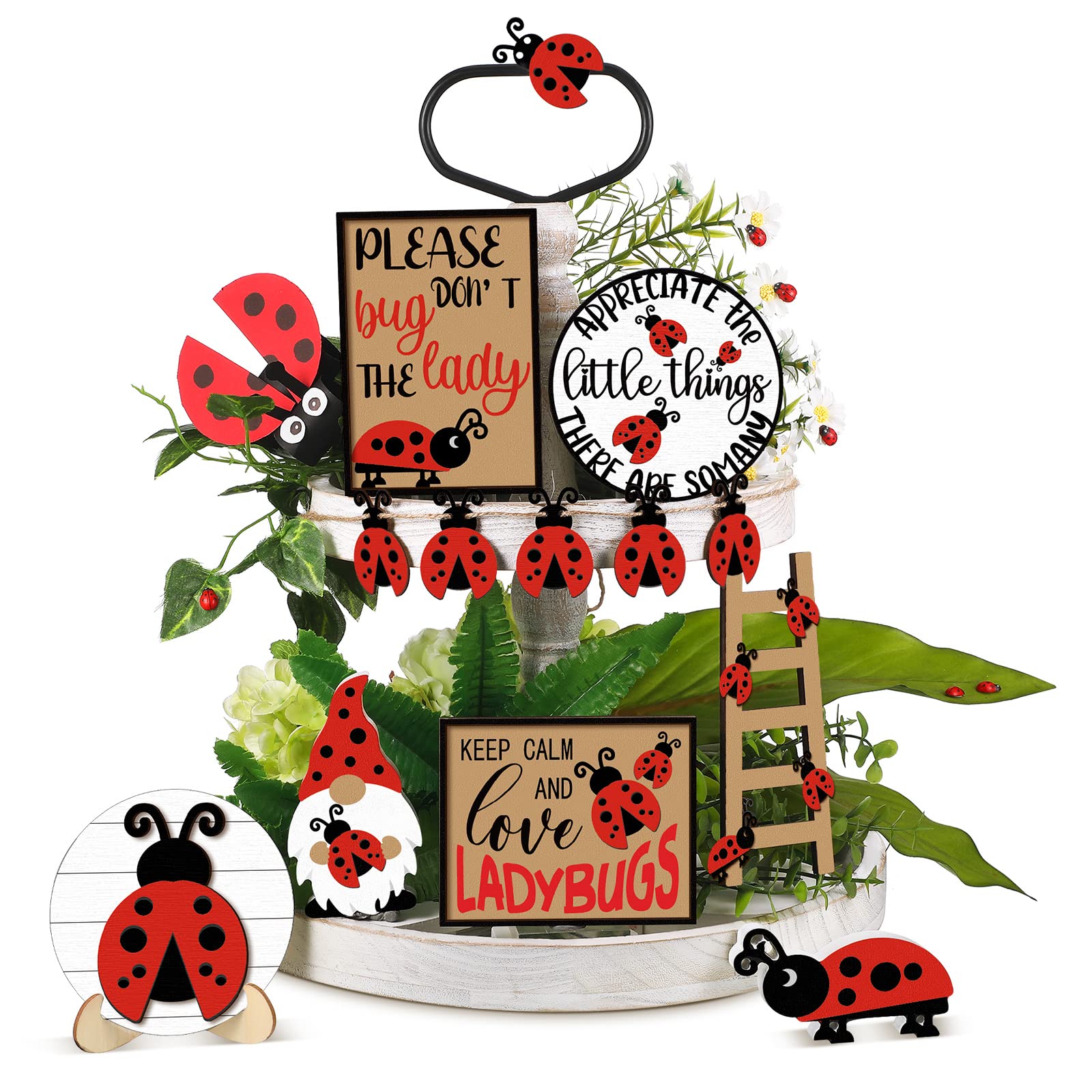 Amazon.com: 12 Pcs Red Ladybug Tiered Tray Decor Set Spring Summer Wood ...