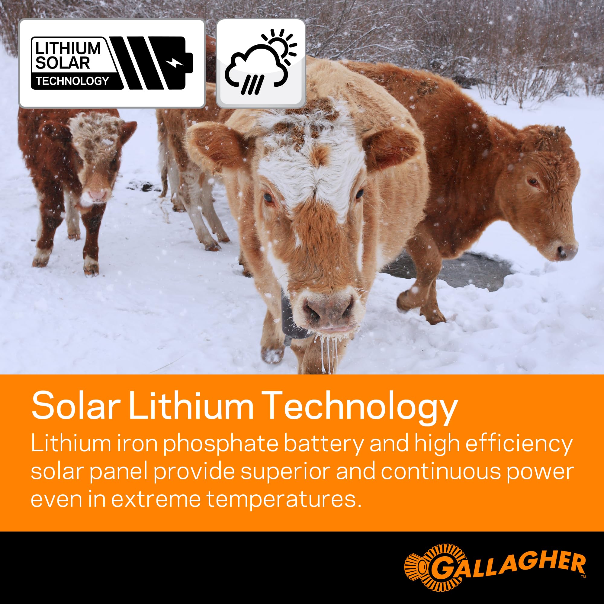 Snapklik.com : Gallagher S20 Solar Electric Fence Charger Powers Up To ...