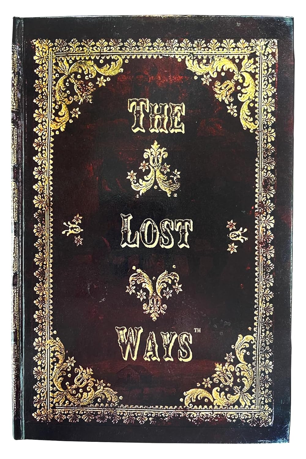 The Lost Ways: Claude Davis: 9781732557178: Books - Amazon.ca