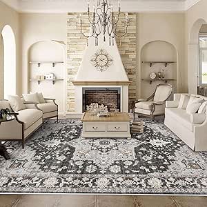 Amazon.com: Washable Oriental Area Rug - 9x12 Rugs for Living Room Soft ...
