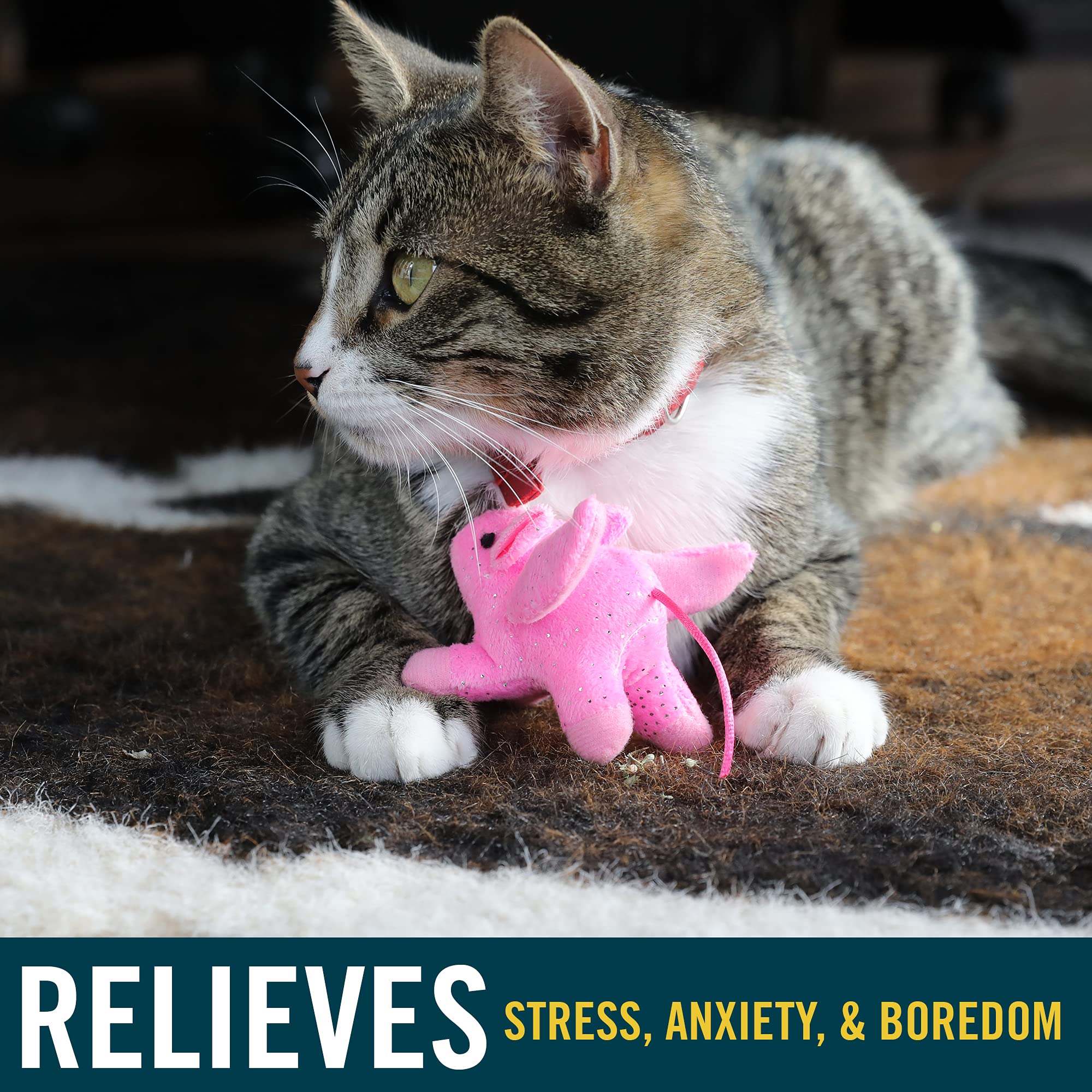 Snapklik.com : OurPets 1400013771 OPB Barnyard Collection Pig Cat Toy