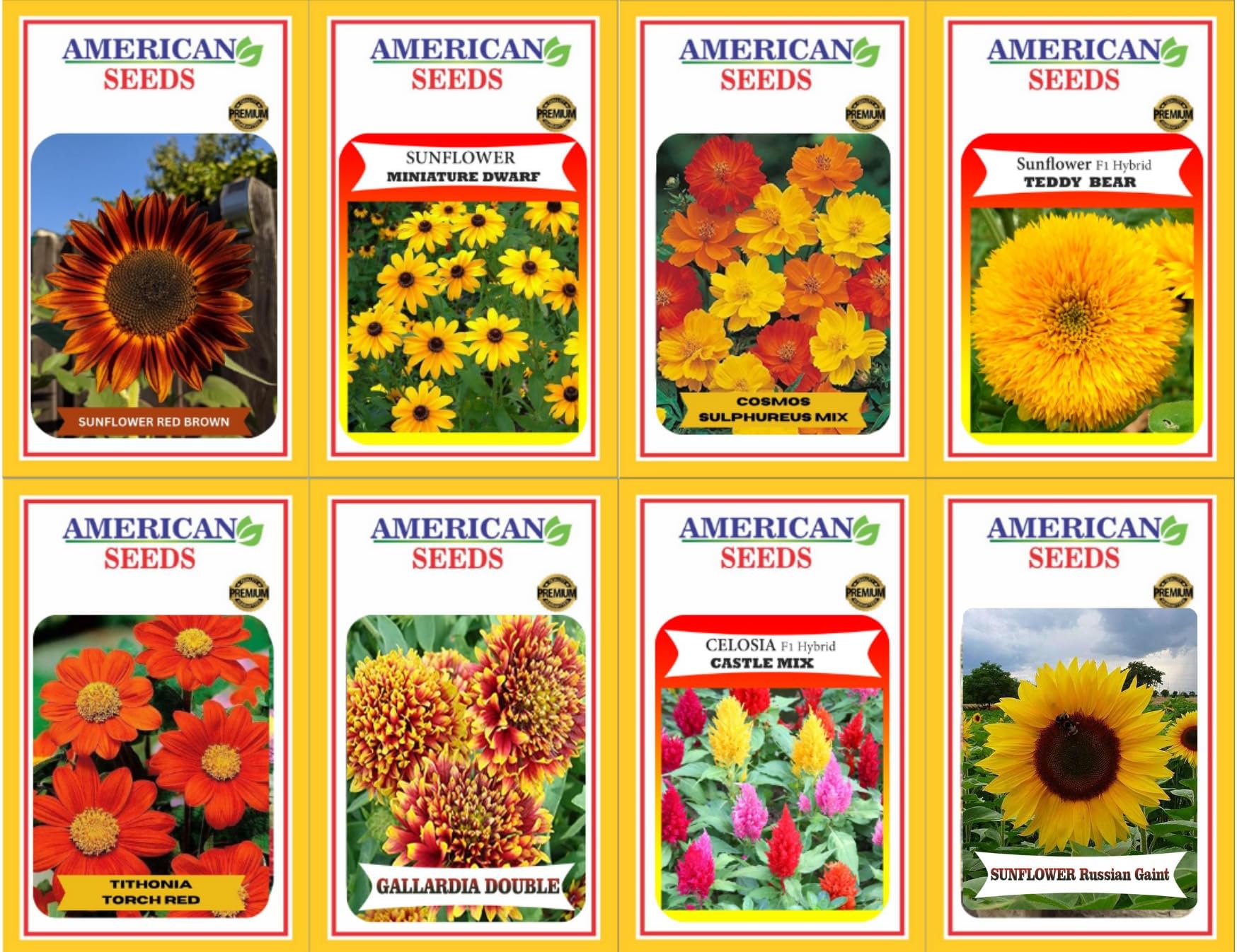 Kraft Seeds Fresh Flower Seeds for Home Gardening (25 Packets, Approx ...