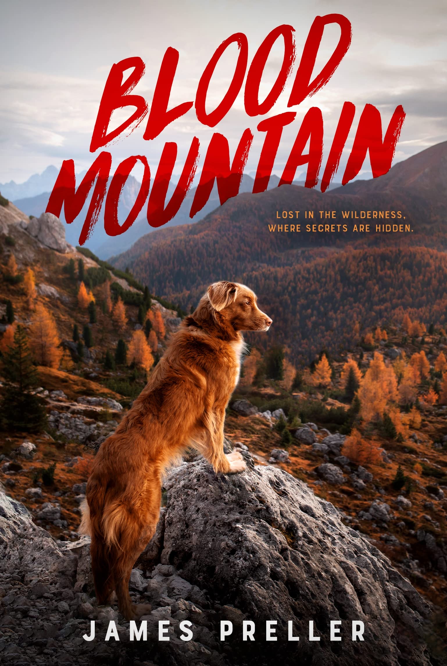 Blood Mountain: Preller, James: 9781250619815: Amazon.com: Books