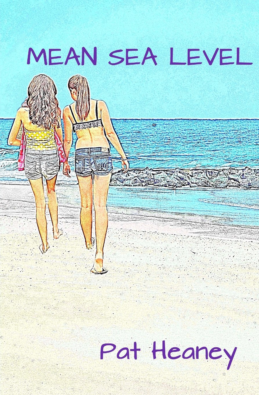 Mean Sea Level: Heaney, Pat: 9780988847866: Amazon.com: Books