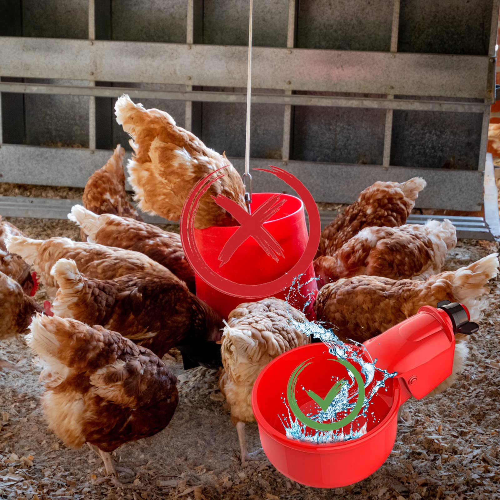 Chicken Water Dispenser Chicken Water Feeder Kit,Chicken Waterer With
