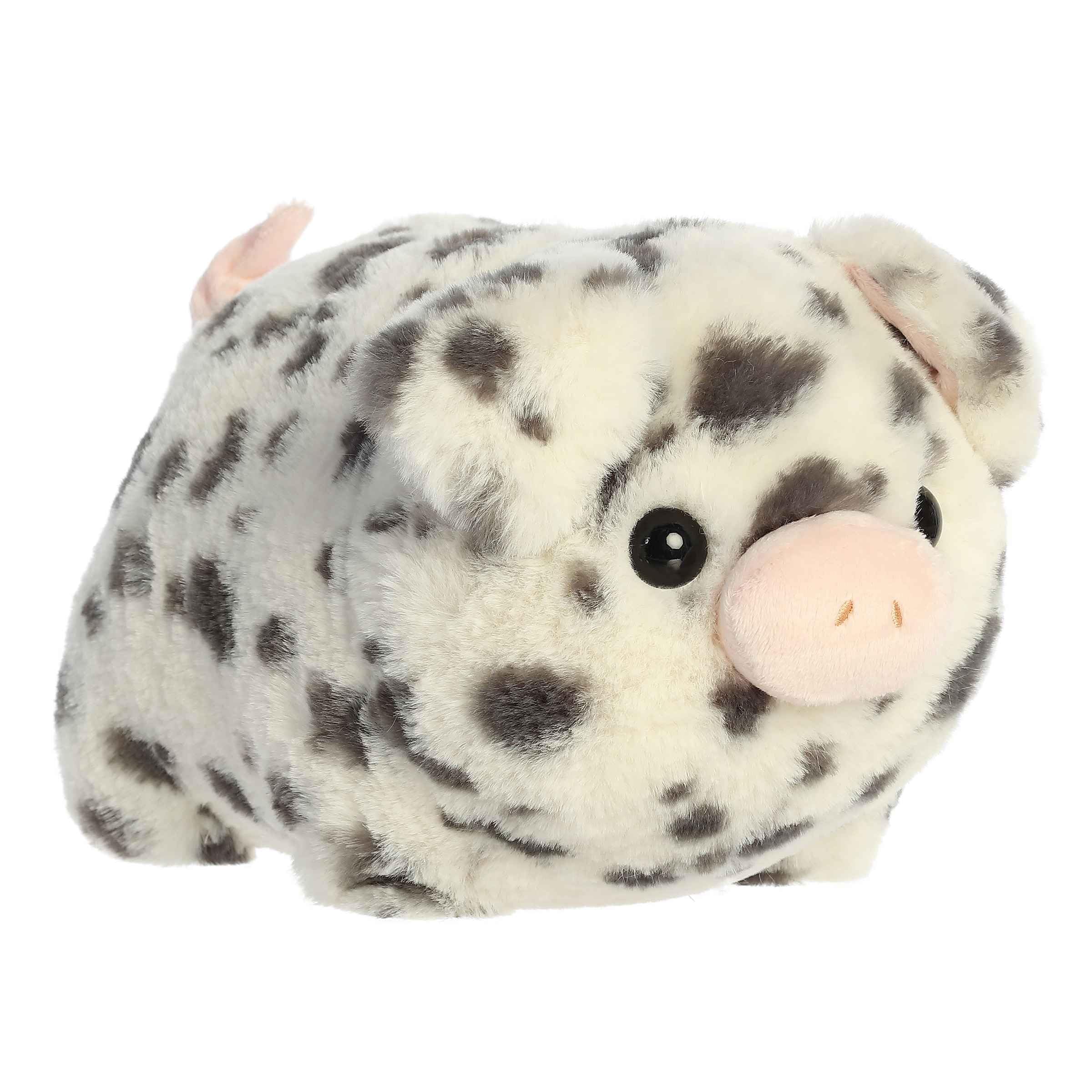 Amazon.com: Aurora® Adorable Spudsters™ Pierre Spotted Pig™ Stuffed ...