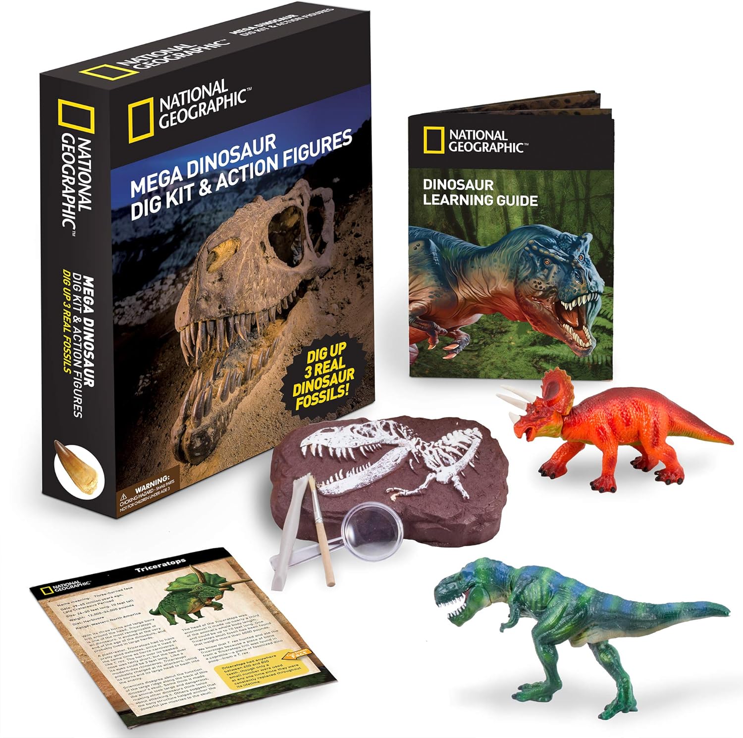Amazon.com: NATIONAL GEOGRAPHIC Mega Dinosaur Fossil Dig with 2 Dino ...
