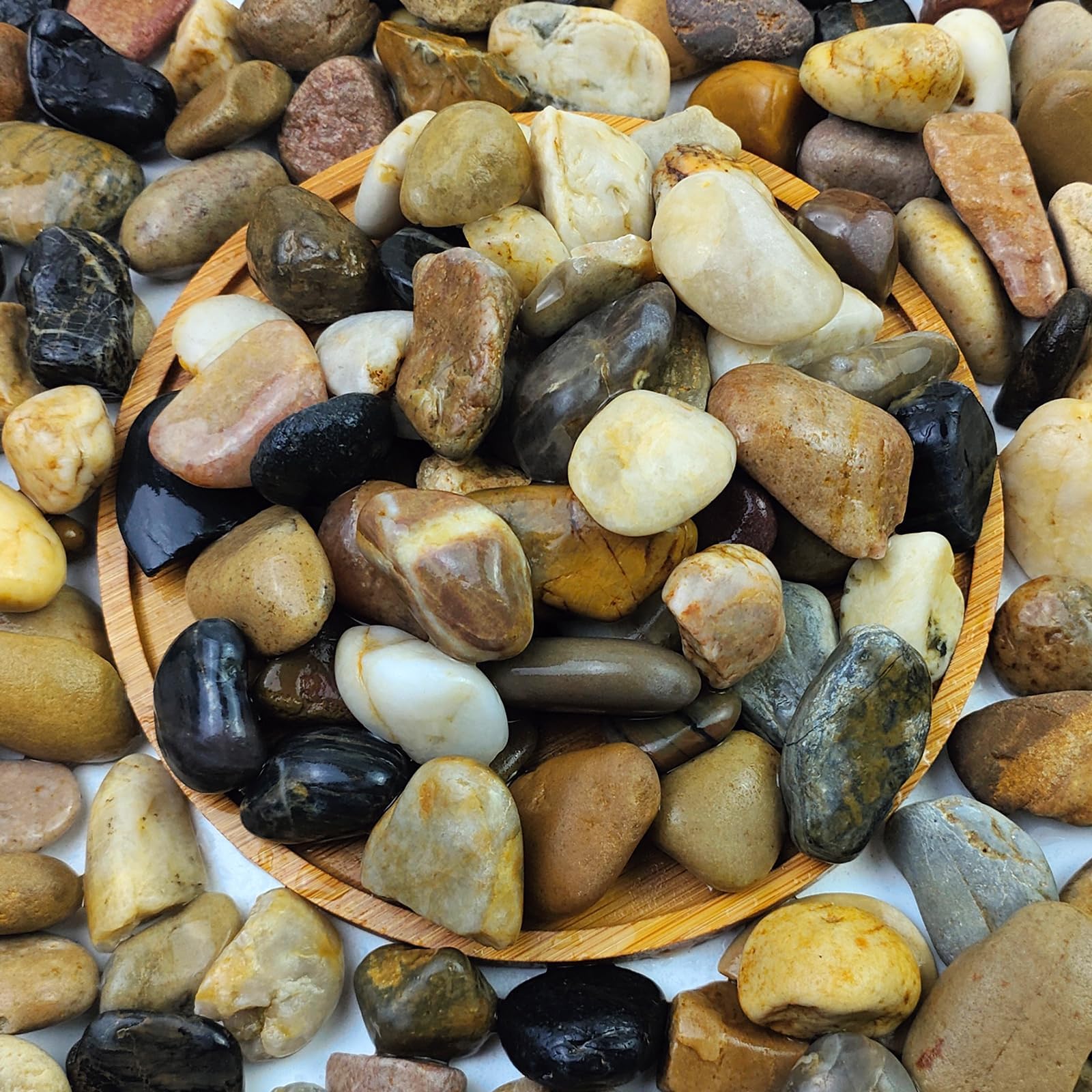 Amazon.com : FANTIAN 10LB Natural Pea Gravel for Aquarium, Decorative ...