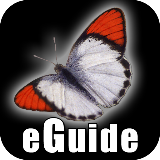 Butterfly eGuide - App on Amazon Appstore