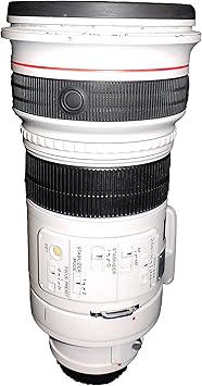 Amazon.com : Canon EF 300mm f/2.8L IS USM Telephoto Lens for Canon SLR ...