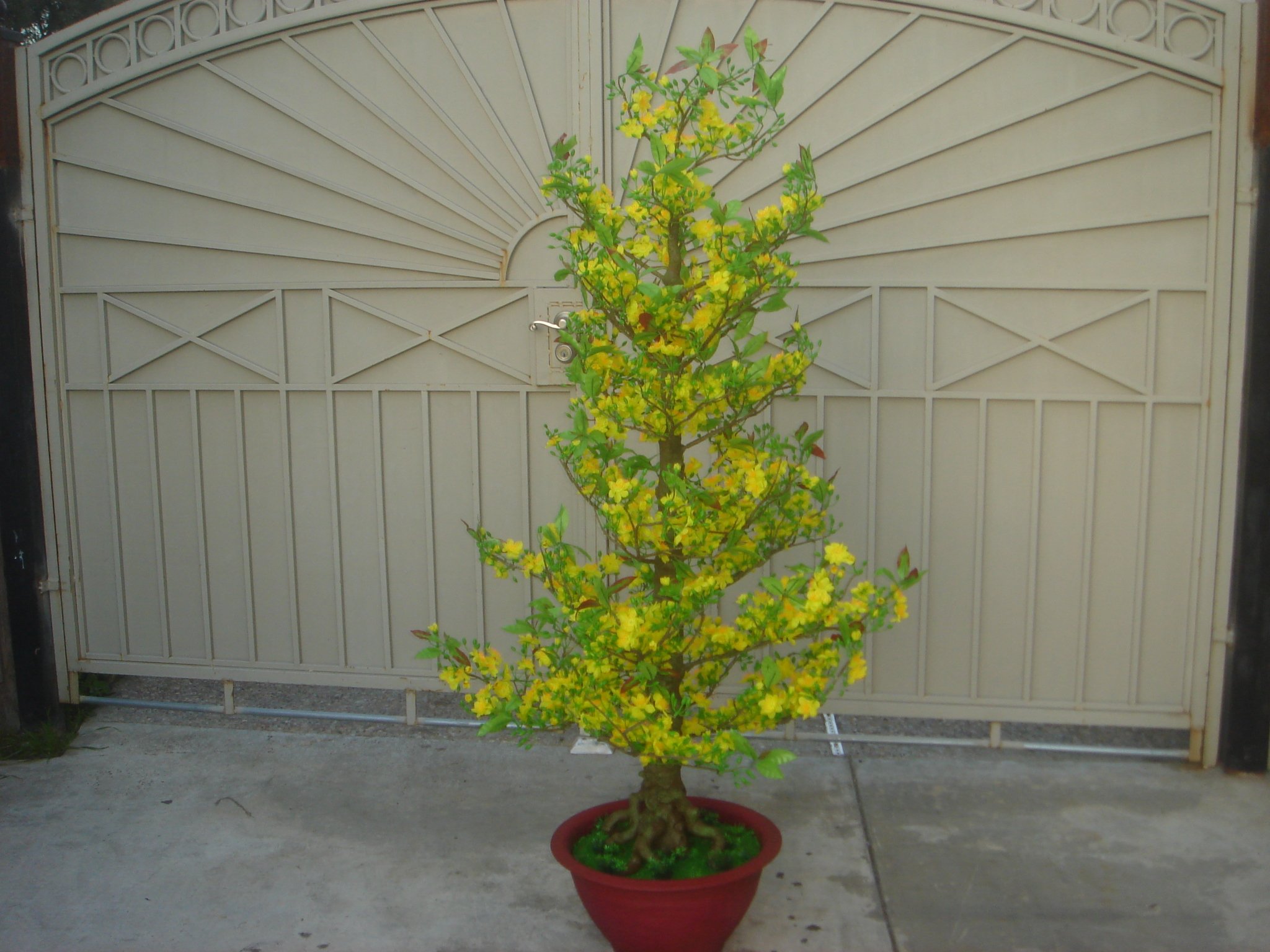 Amazon.com: Plastic Artificial Yellow Apricot Flower Tree with Plastic ...