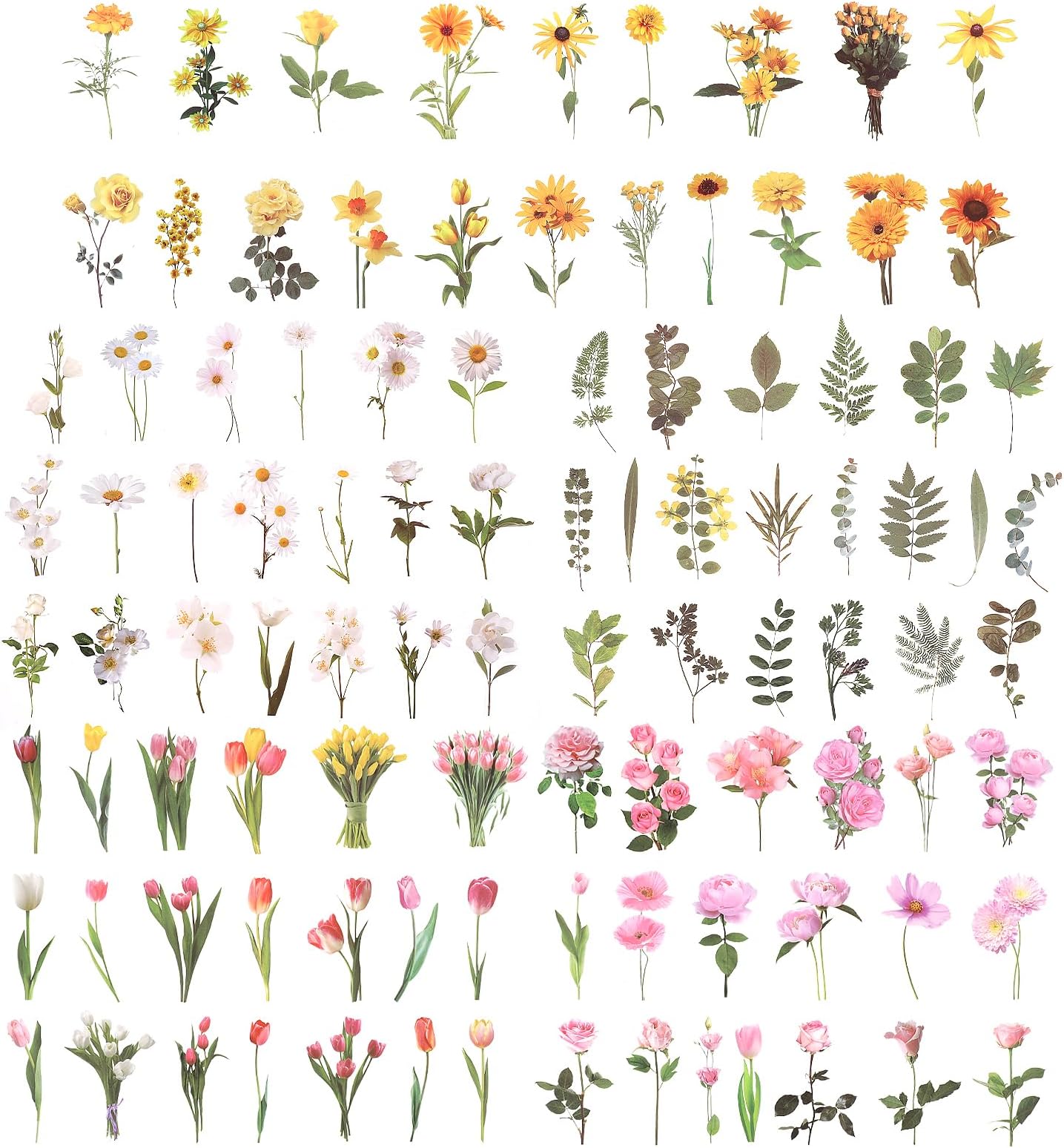 Amazon.com: Giantree 200 Pcs Pressed Flower Themed Stickers - Vintage ...