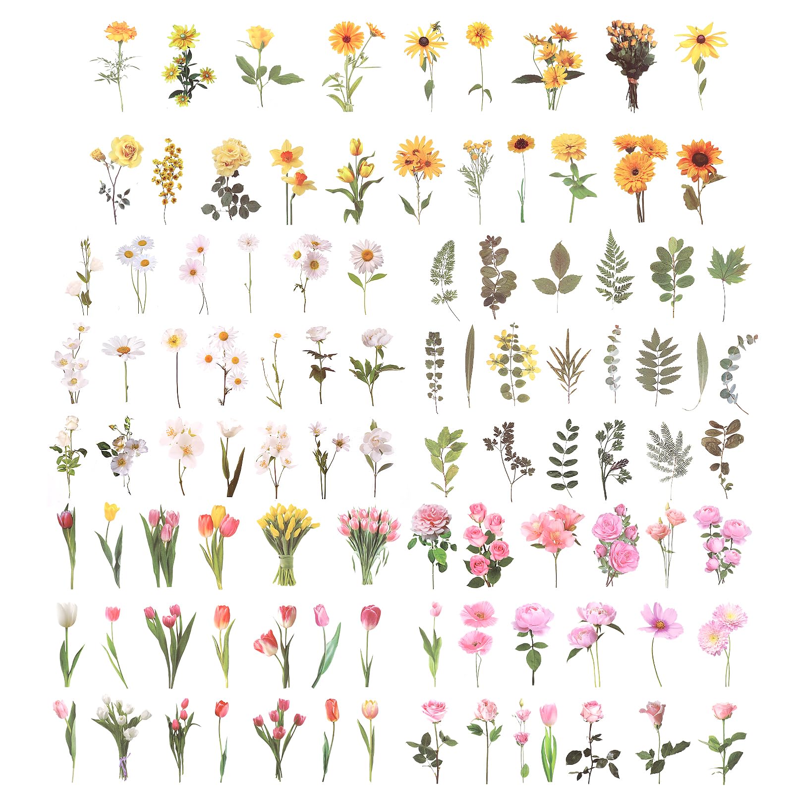 Amazon.com: Giantree 200 Pcs Pressed Flower Themed Stickers, Vintage ...