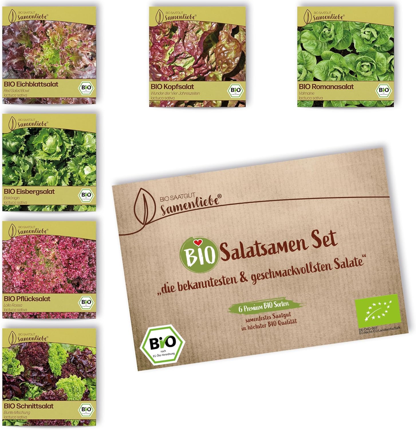 BIO Salat Samen Set: 6 Sorten samenfeste BIO Gemüse Samen mit ...