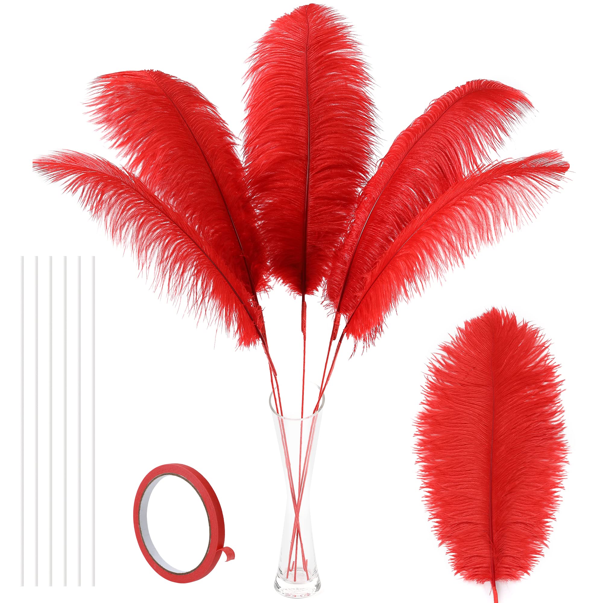 Amazon.com: Soarer Red Ostrich Feathers for Vase - 10Pcs Making Kit ...