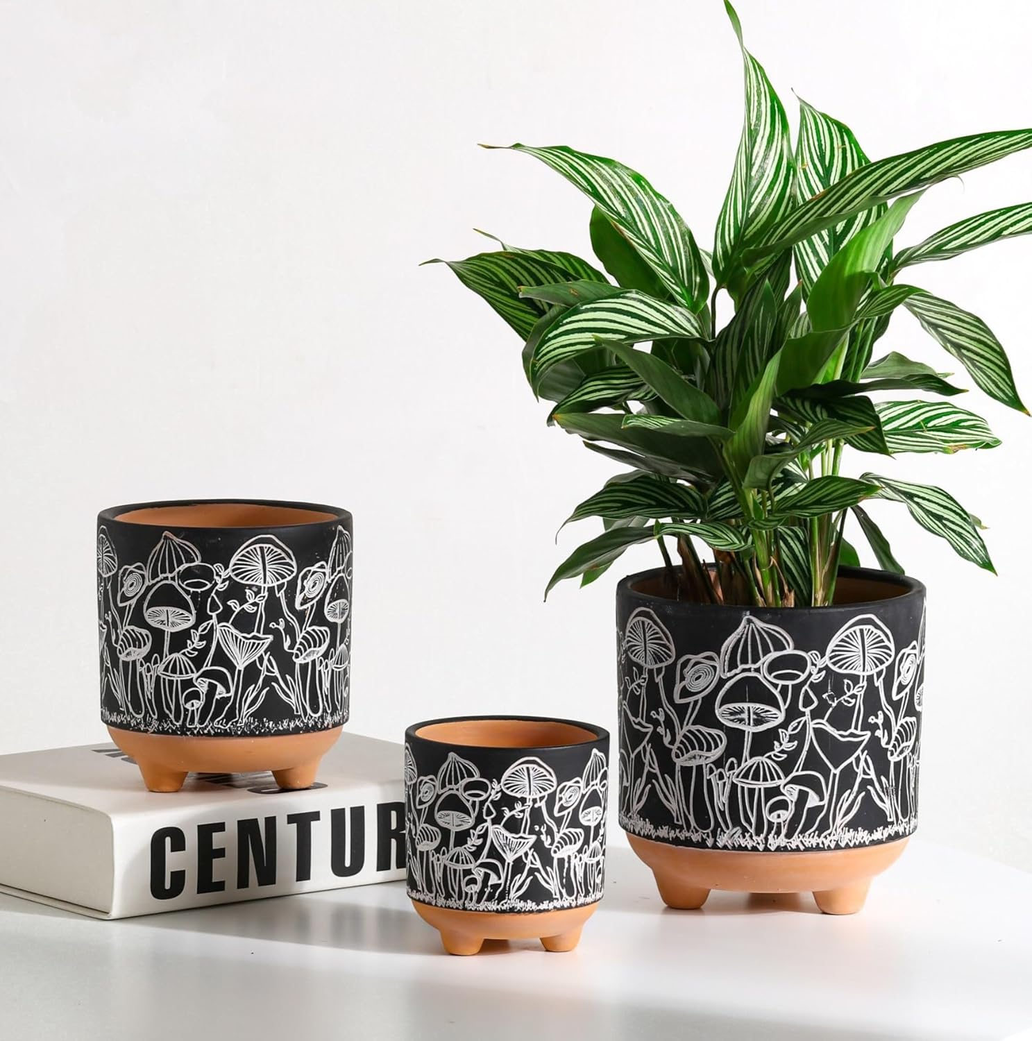 Amazon.com: Happy Shrooms Planters for Indoor Plants, Set of 3 Assorted ...
