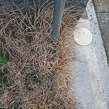 Amazon | クボタケミックス(Kubota) 排水用塩ビパイプ VU 50X0.5M | パイプ | 産業・研究開発用品 通販