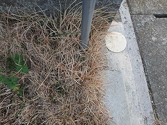 Amazon | クボタケミックス(Kubota) 排水用塩ビパイプ VU 50X0.5M | パイプ | 産業・研究開発用品 通販